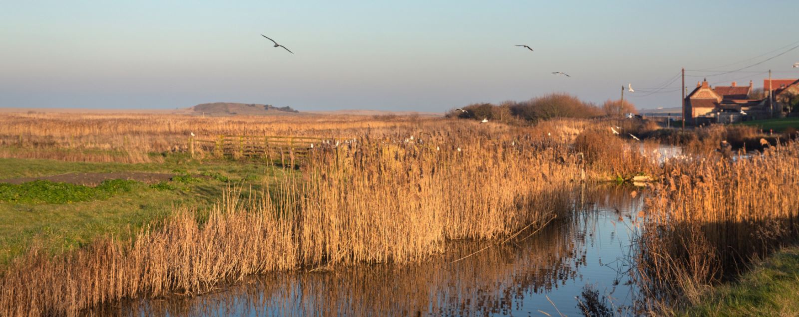Discover the Unique Salt Marshes of North Norfolk - North Norfolk