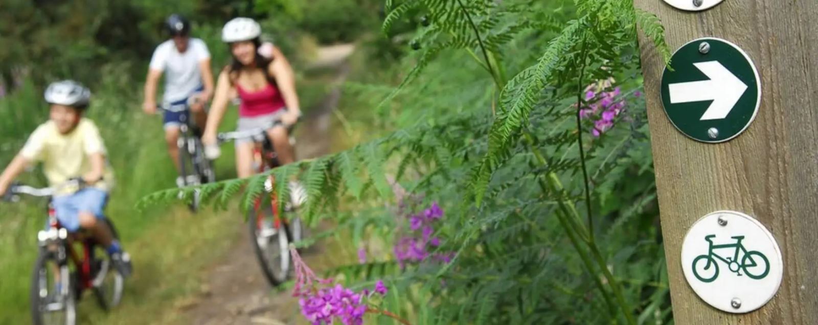 Cycling in North Norfolk - North Norfolk