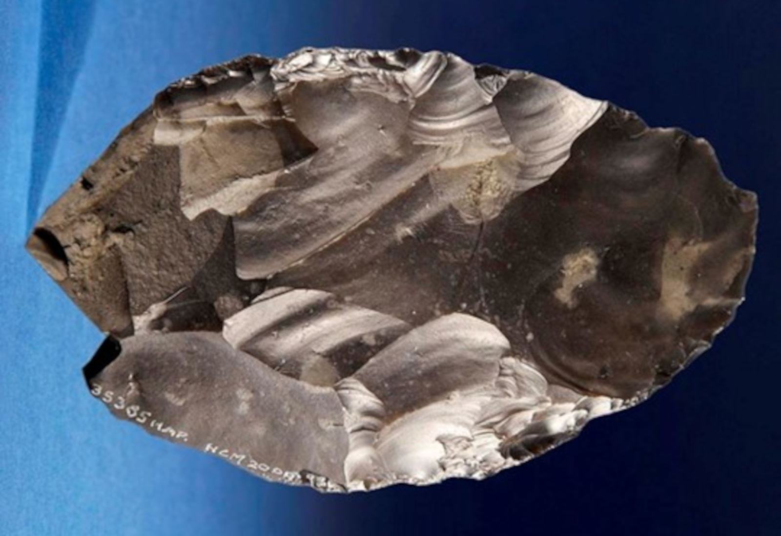 Fossil Hunting on the Deep History Coast - North Norfolk