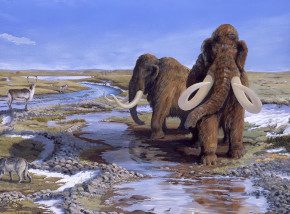 Top Five Facts about the West Runton Mammoth on the Deep History Coast ...
