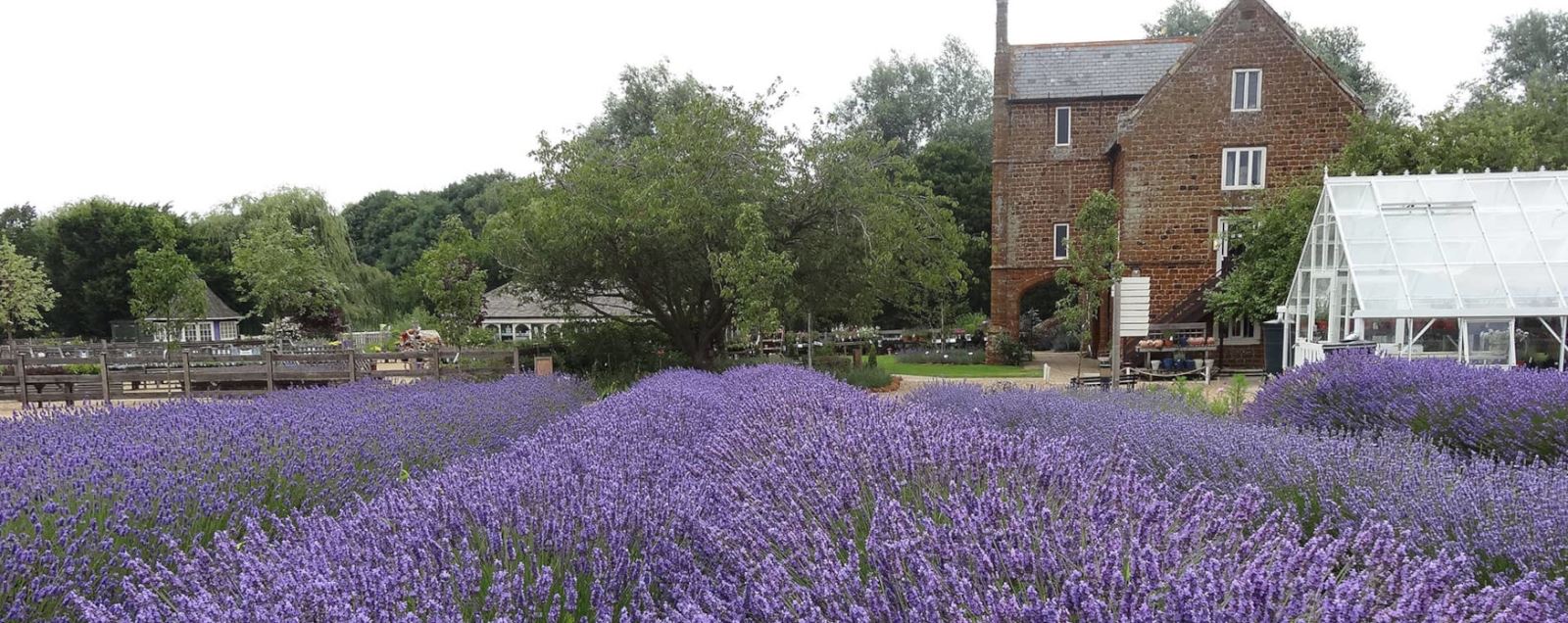 Discovering the Hidden Gems of Heacham & Hunstanton