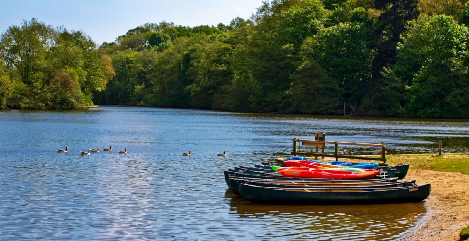 Things to Do in the Broads National Park - North Norfolk